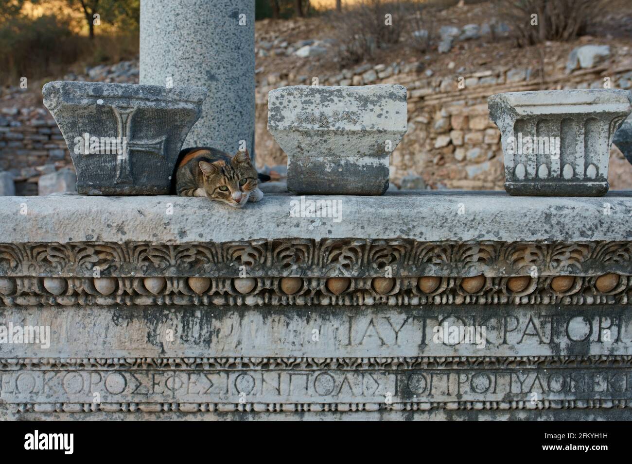 Ancient Roman building ruins in Ephesus, Anatolia, Turkey Stock Photo ...