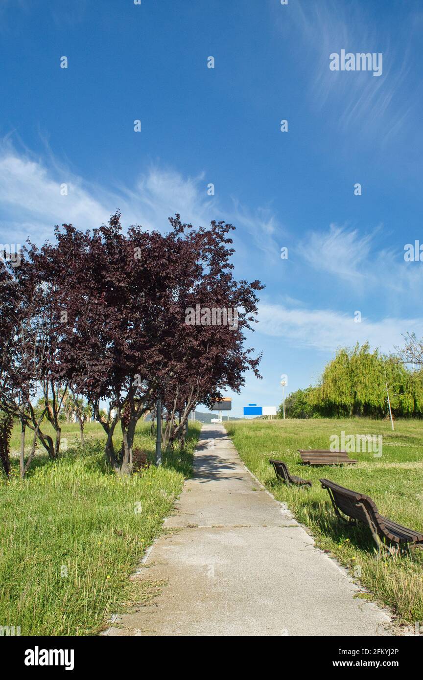 View of pathway and seats hi-res stock photography and images - Alamy