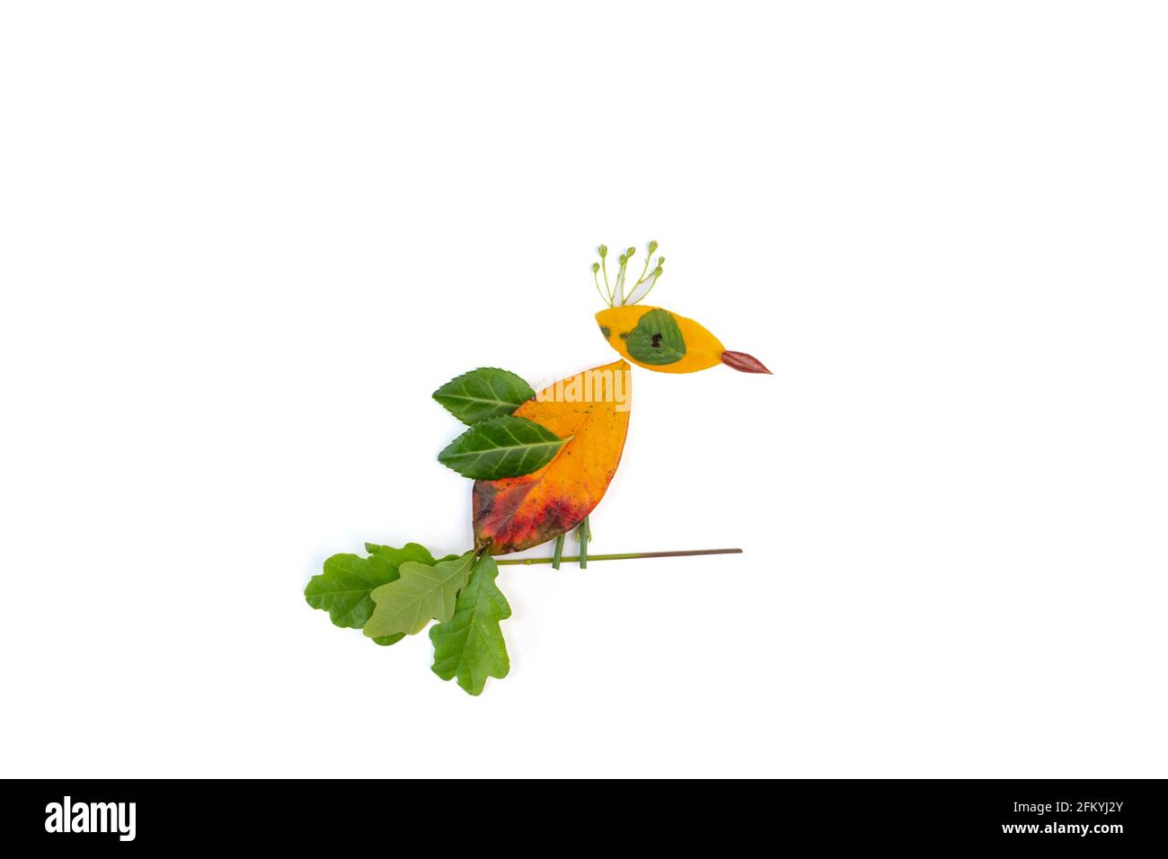 yellow leaf on white background, autumn nature art project for kids ...