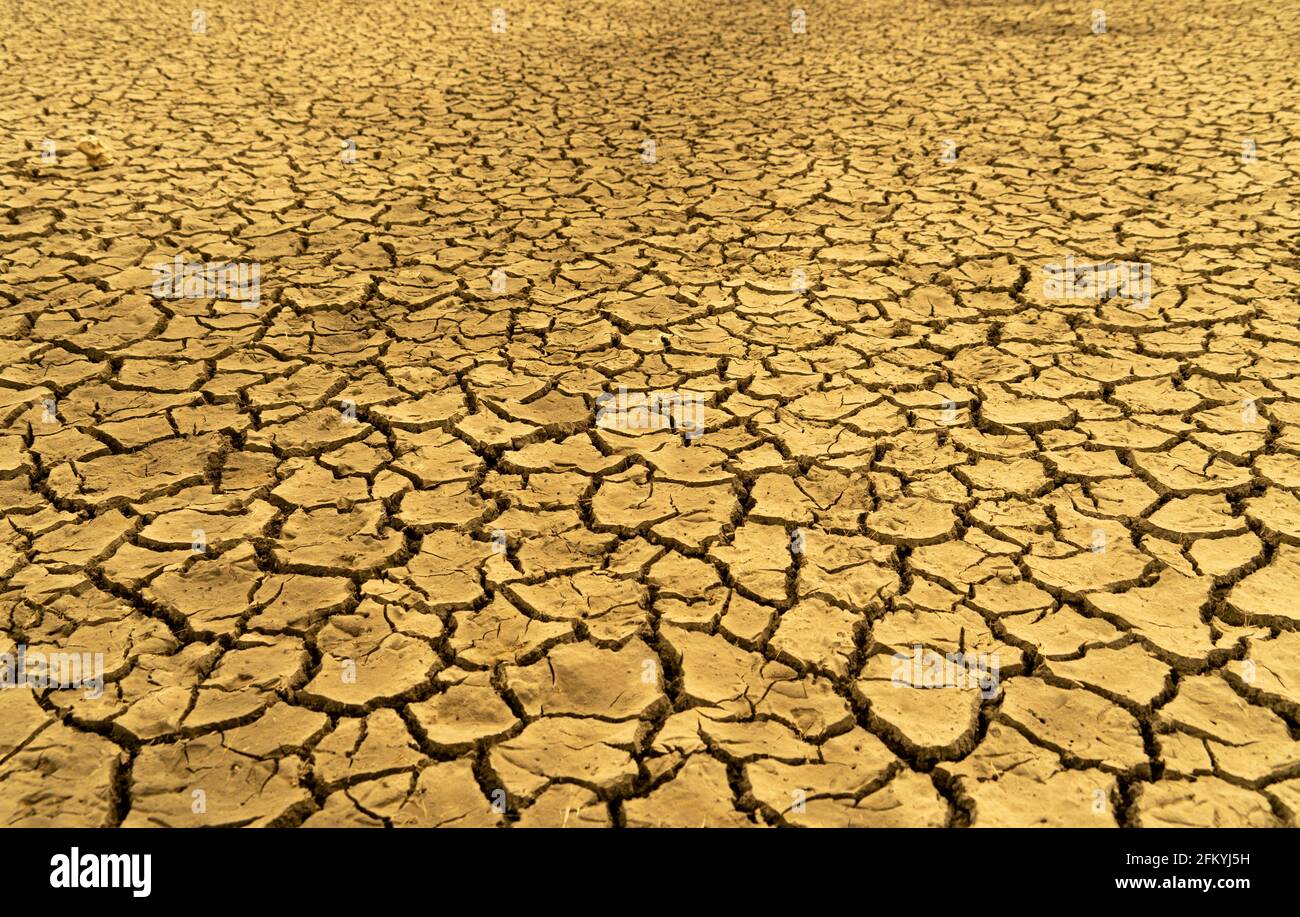 Mudflat cracked desert barren surface for natural background, layer ...