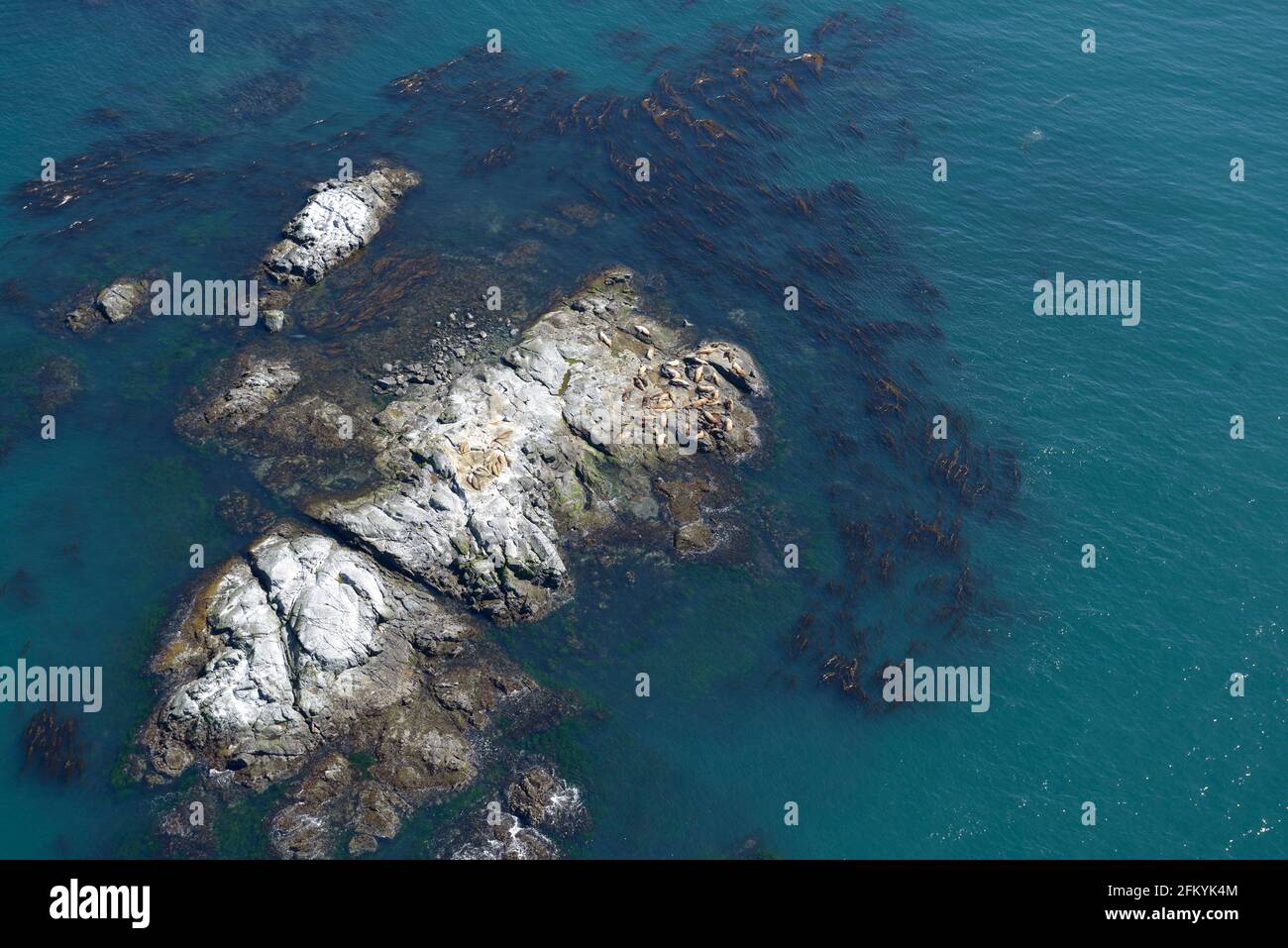 Hauled out at race rocks hi-res stock photography and images - Alamy