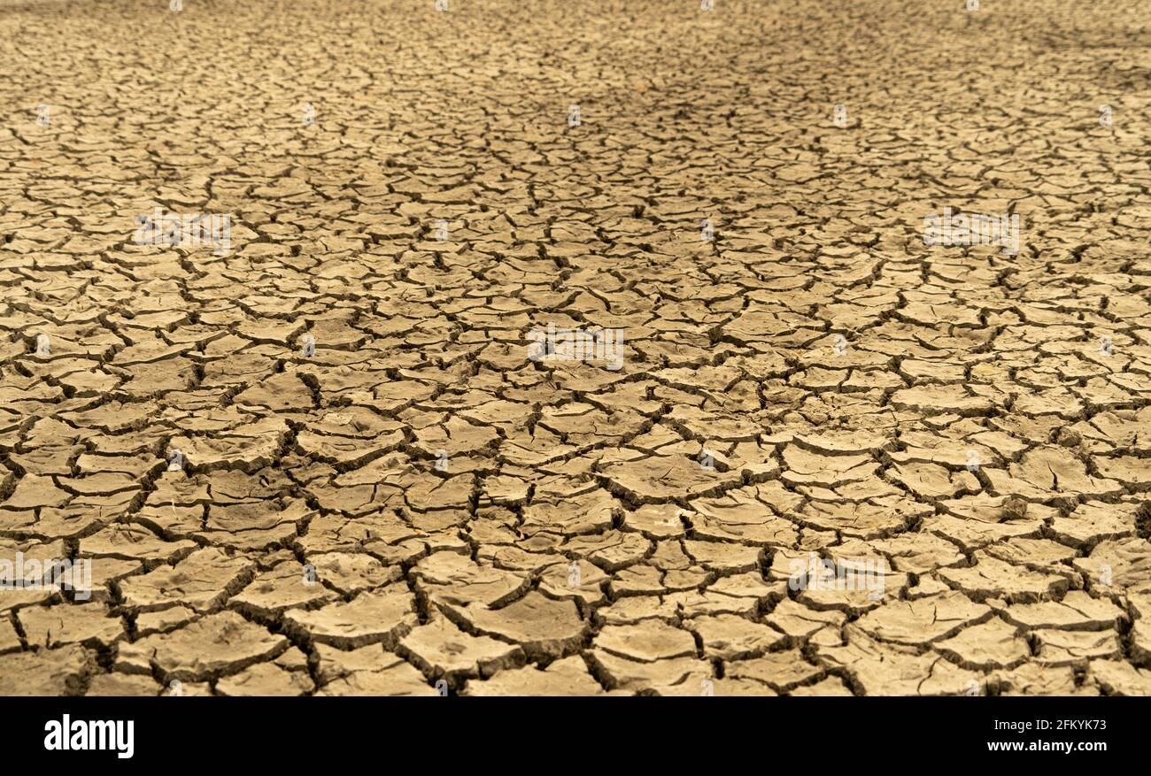Mudflat cracked desert barren surface for natural background, layer, wallpaper, photo effect ...
