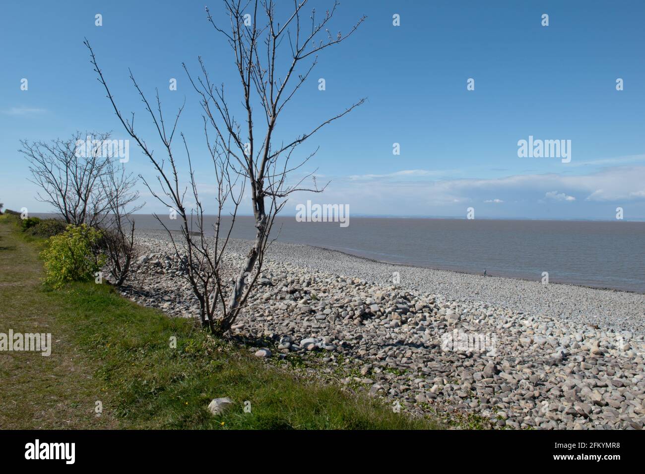 Isolated beach path hi-res stock photography and images - Alamy
