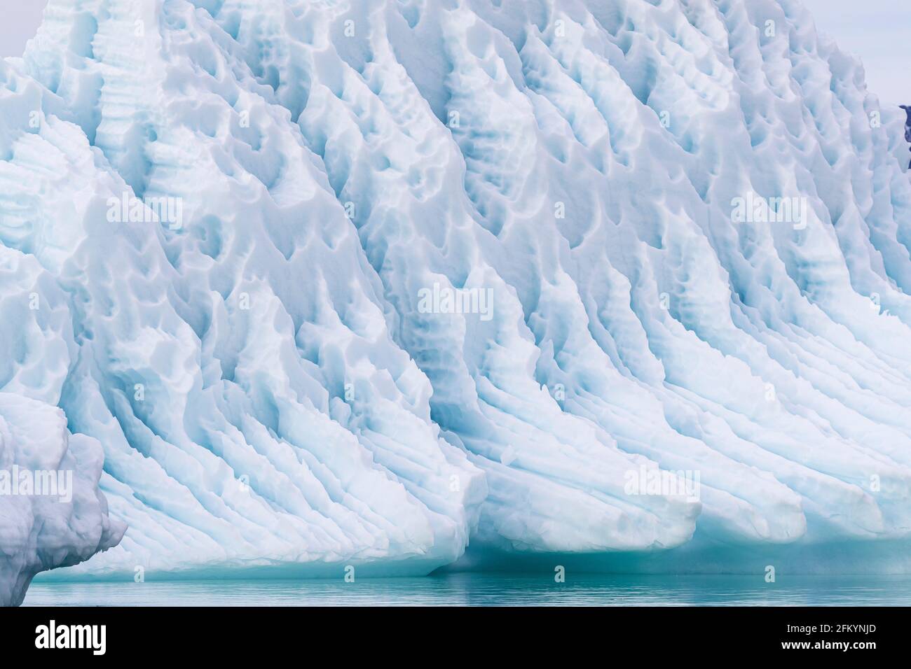 Iceberg calved from glacier from the Greenland Icecap in Bowdoin Fjord ...