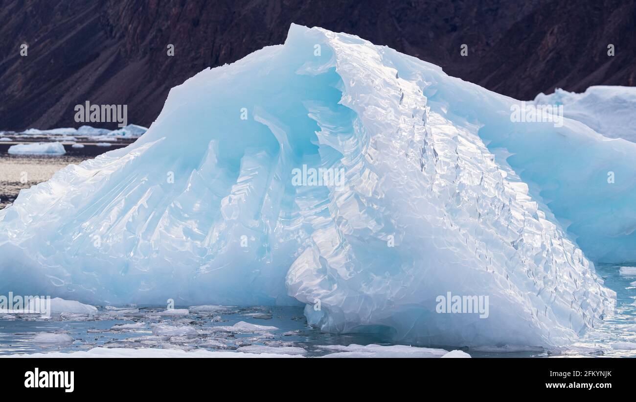 Iceberg calved from glacier from the Greenland Icecap in Bowdoin Fjord ...