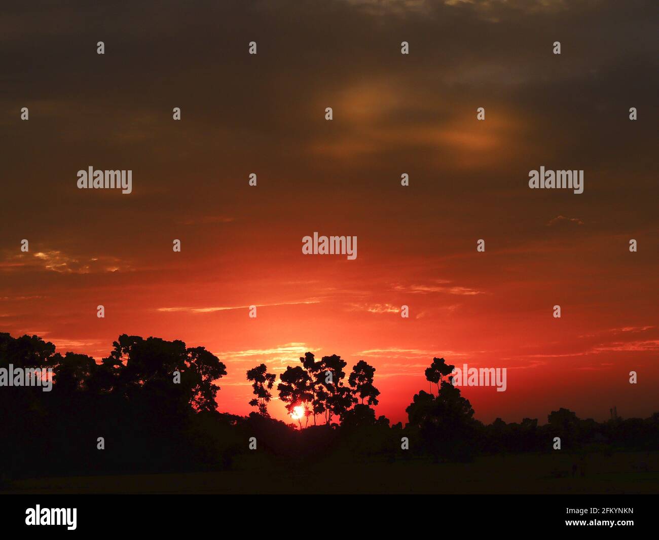 Mesmerizing view of a fire red sunset sky and the black silhouettes of ...