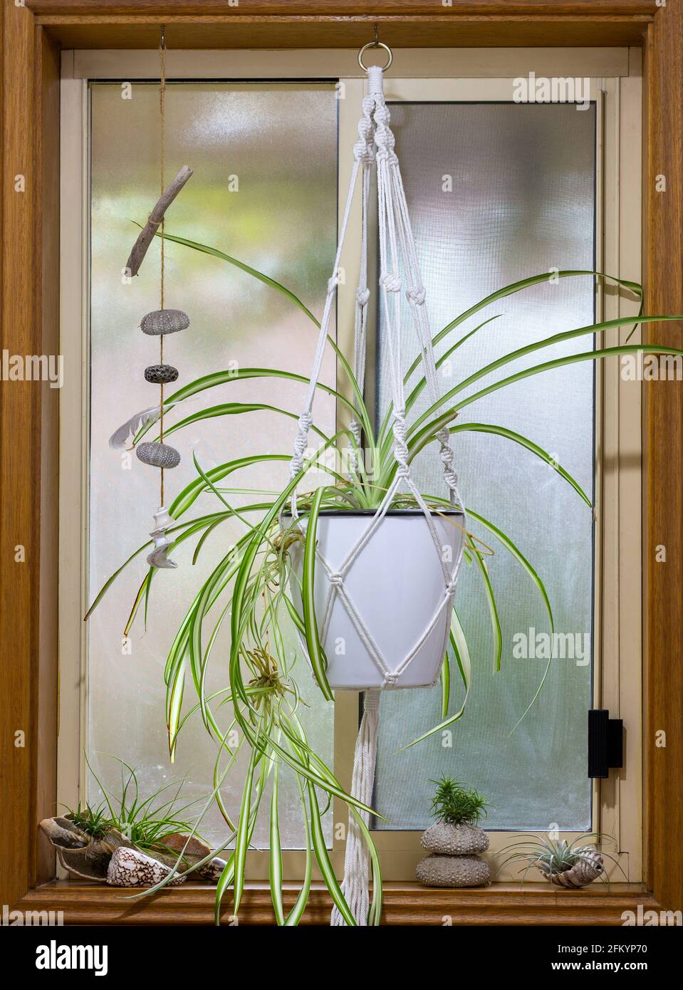 Decorating using plants hi-res stock photography and images - Alamy