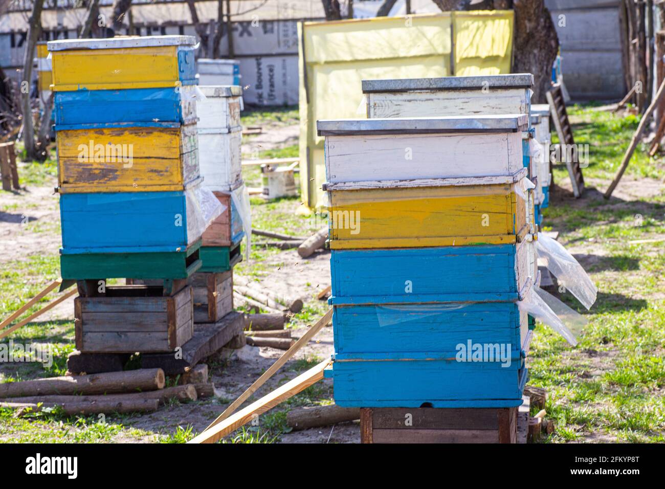 Old multihull hives on apiary in spring. Preparing bees for summer ...