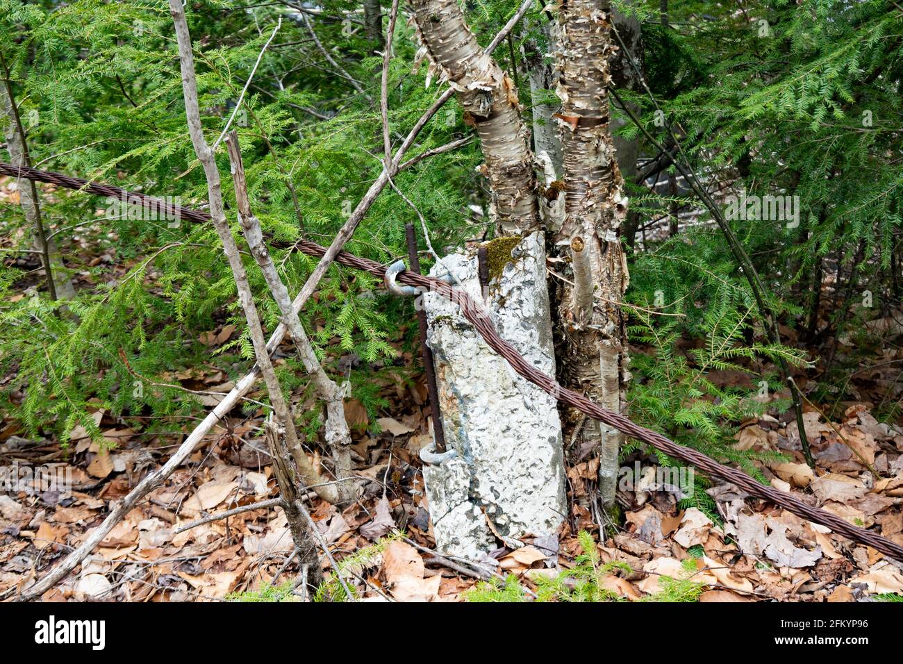 A cumbling concrete post and rusting guy wires along an abandoned ...