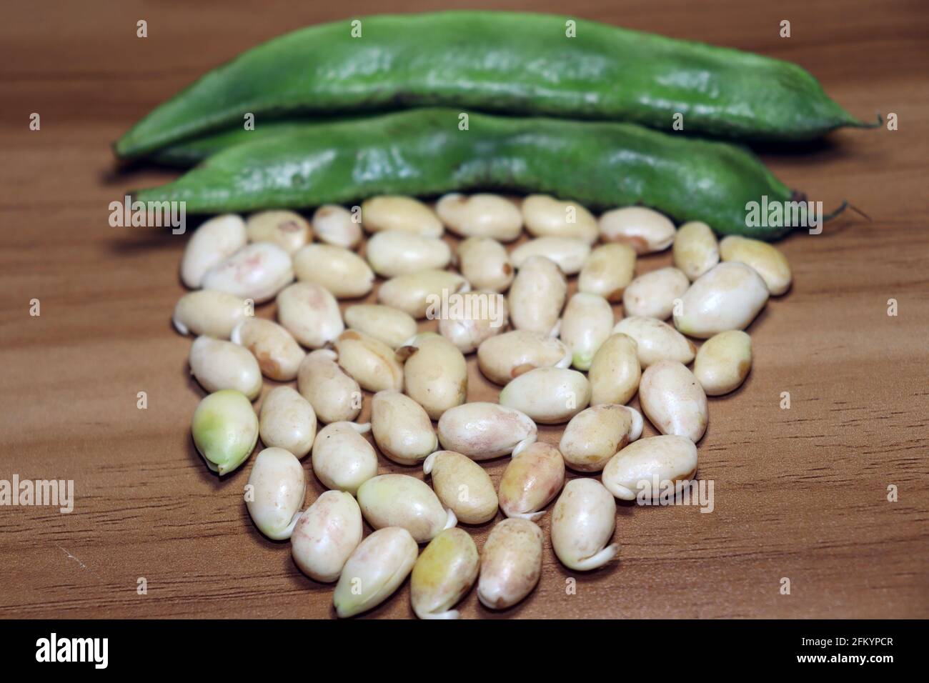 Edamame seeds hi-res stock photography and images - Alamy