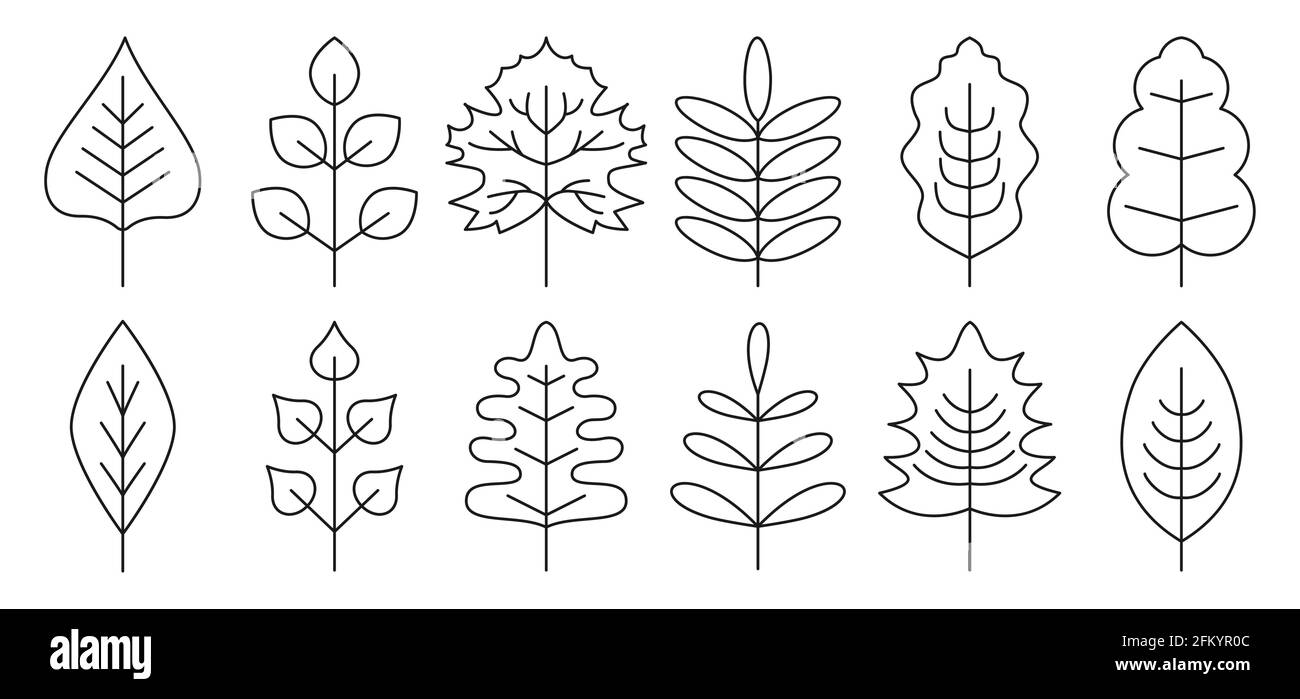 Black autumn leaves. Vector set black line leaf isolated on white ...