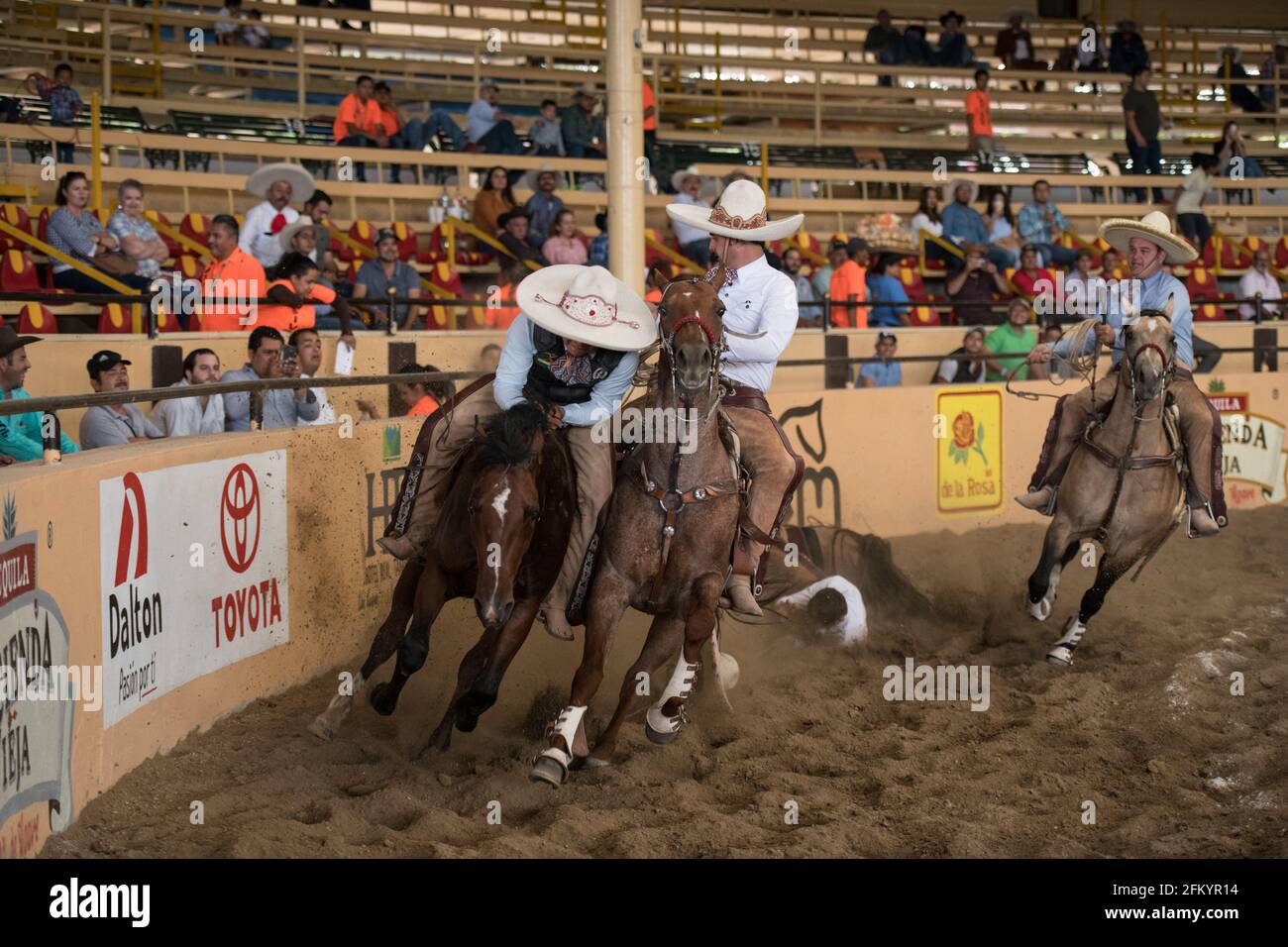 A charro showcases his skills in the thrilling bucking horse event at ...
