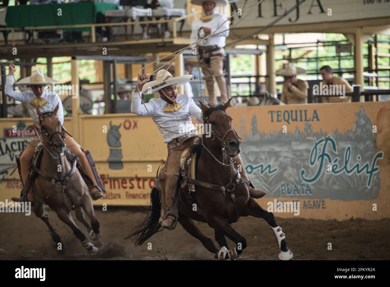 A charro showcases his skills in the thrilling bucking horse event at ...