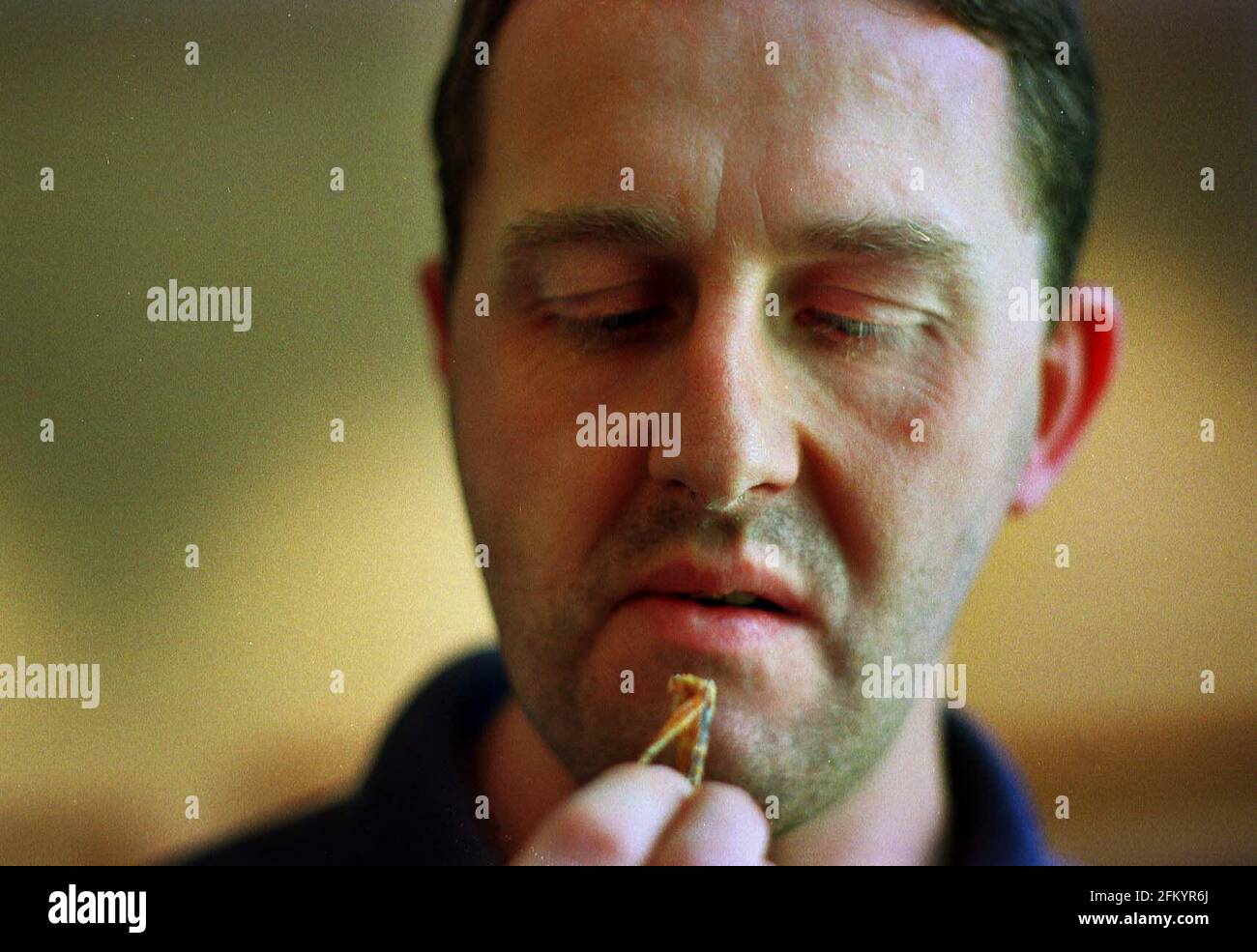 What is a locust hi-res stock photography and images - Alamy