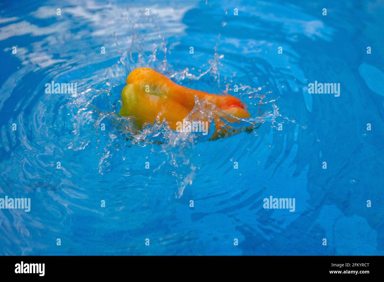 Colorful pepper being submerged into the water in a pool with ripples ...