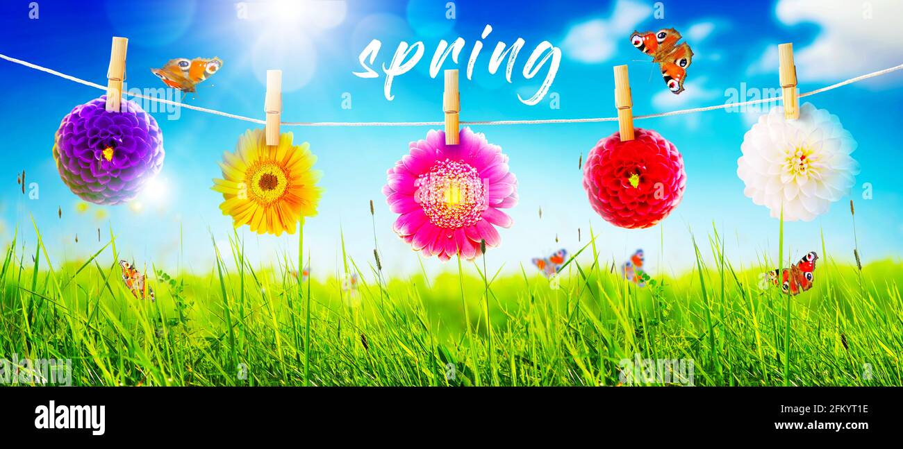 Decorative inscription with letters. Creative spring concept Stock ...
