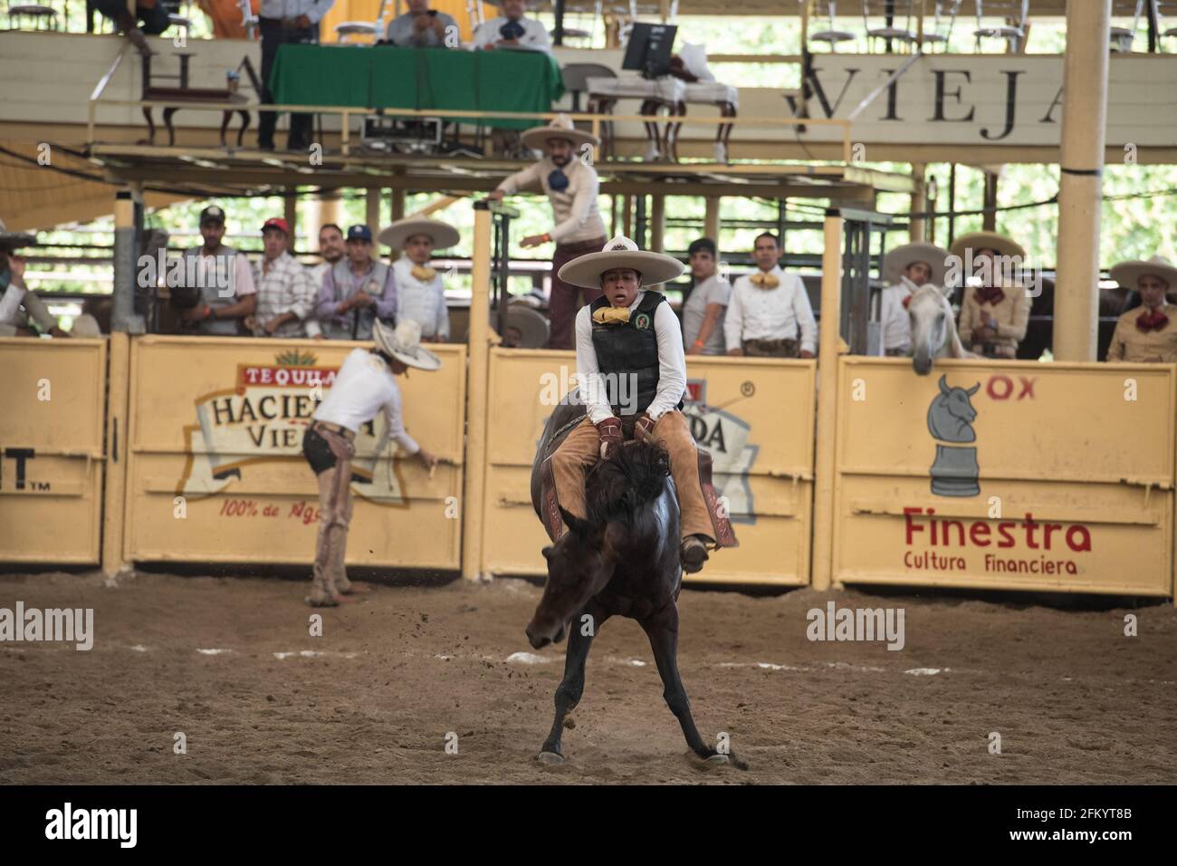 A charro showcases his skills in the thrilling bucking horse event at ...