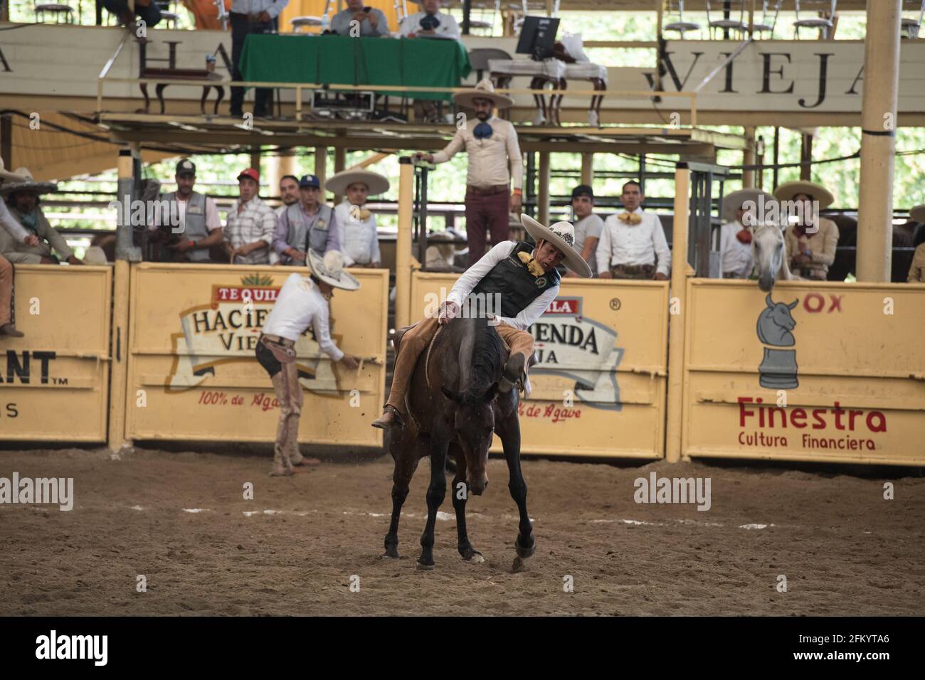 A charro showcases his skills in the thrilling bucking horse event at ...