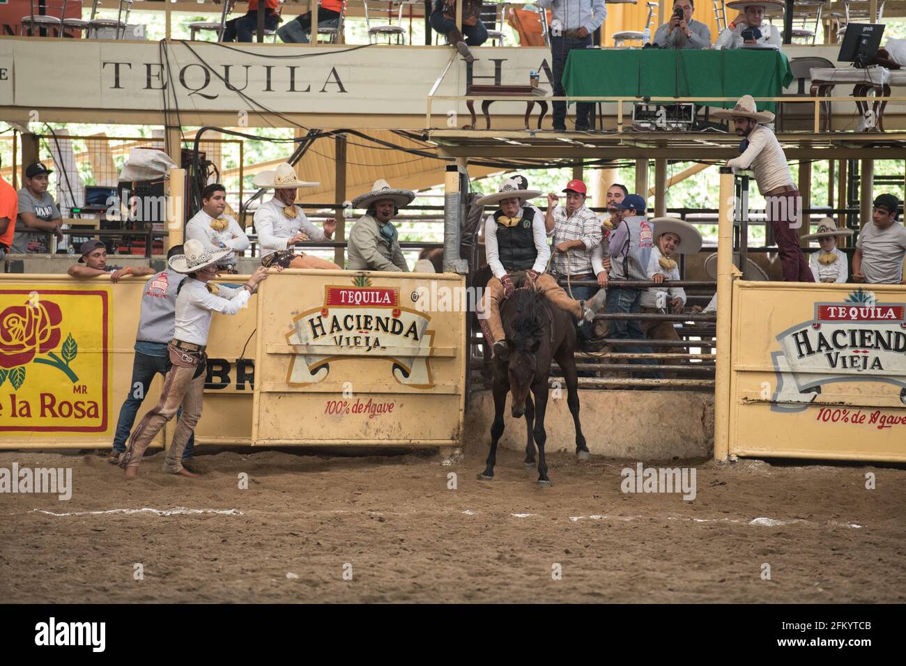 A charro showcases his skills in the thrilling bucking horse event at ...