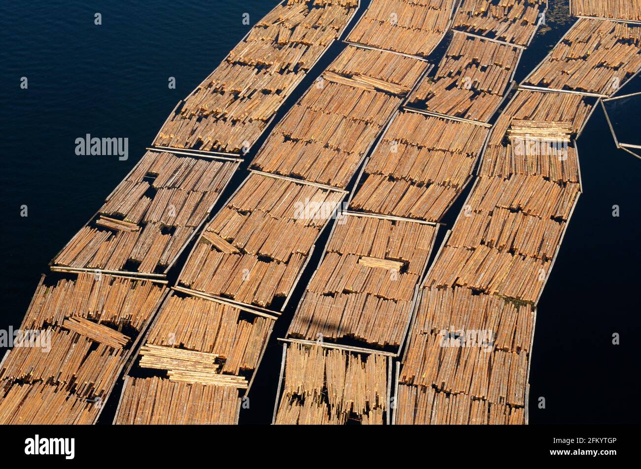 Aerial photo of log booms ready for processing at the Catalyst Pulp ...