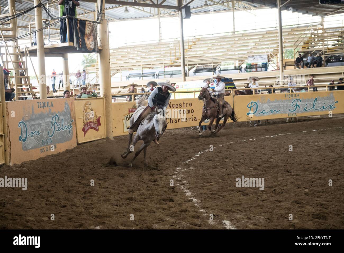 A charro showcases his skills in the thrilling bucking horse event at ...