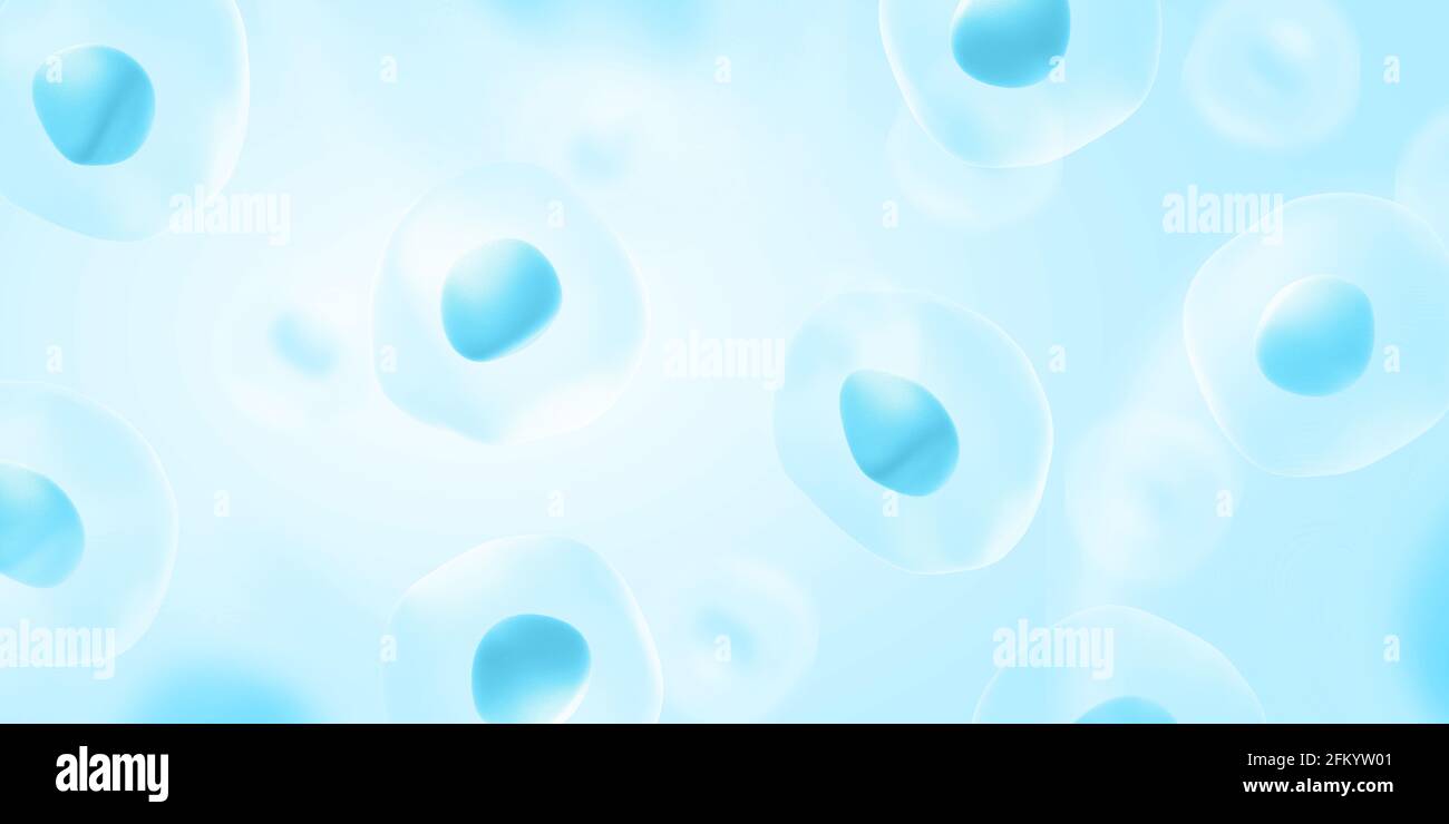 Blue cells on blue background. Early stage embryo. Treatment with stem ...