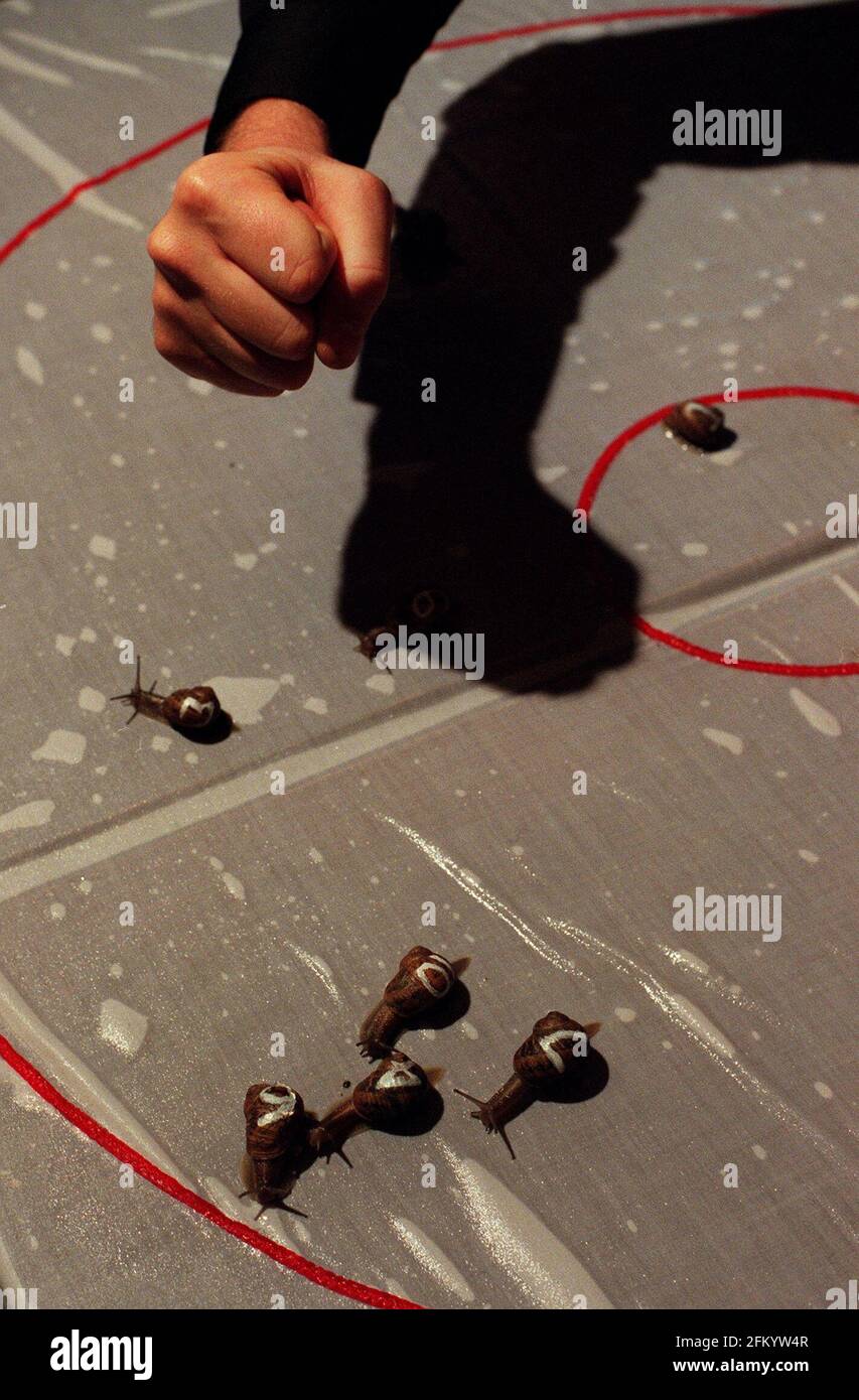 Snail Racing Championships December 1999punters cheer on snails at the ...