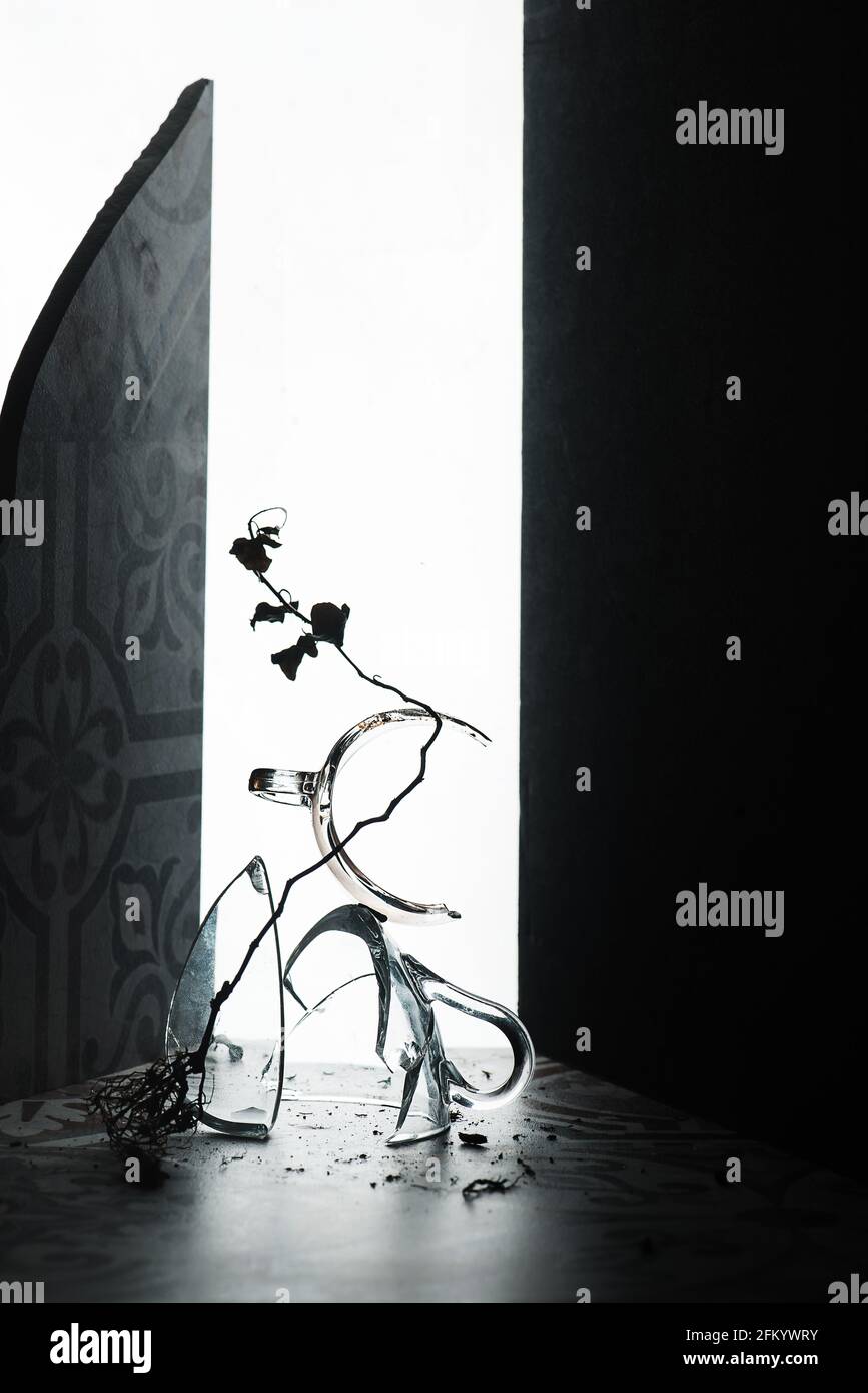 Still life with backlight hi-res stock photography and images - Alamy