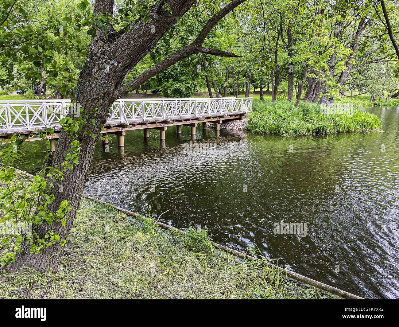 white wooden footbridge over the pond. summer park landscape Stock ...