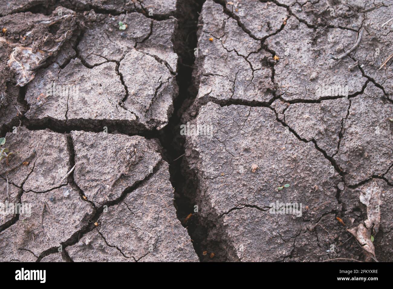 Deep cracks in the ground. The dry ground cracked. Black soil with deep ...