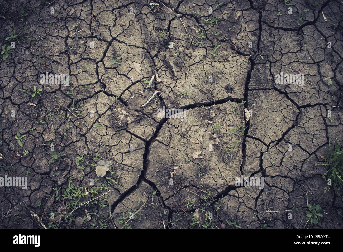Deep cracks in the ground. The dry ground cracked. Black soil with deep ...