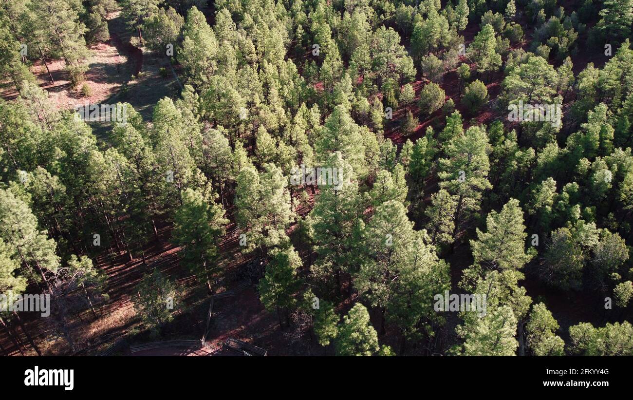 Northern az hi-res stock photography and images - Alamy