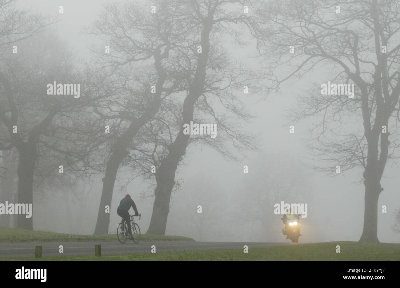 Heavy Mist across the UK... Richmond Park pic David Sandison 21/12/2006 ...