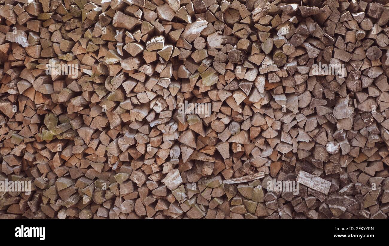 Wall of stacked pine wood logs as background. Pile of wooden logs ...