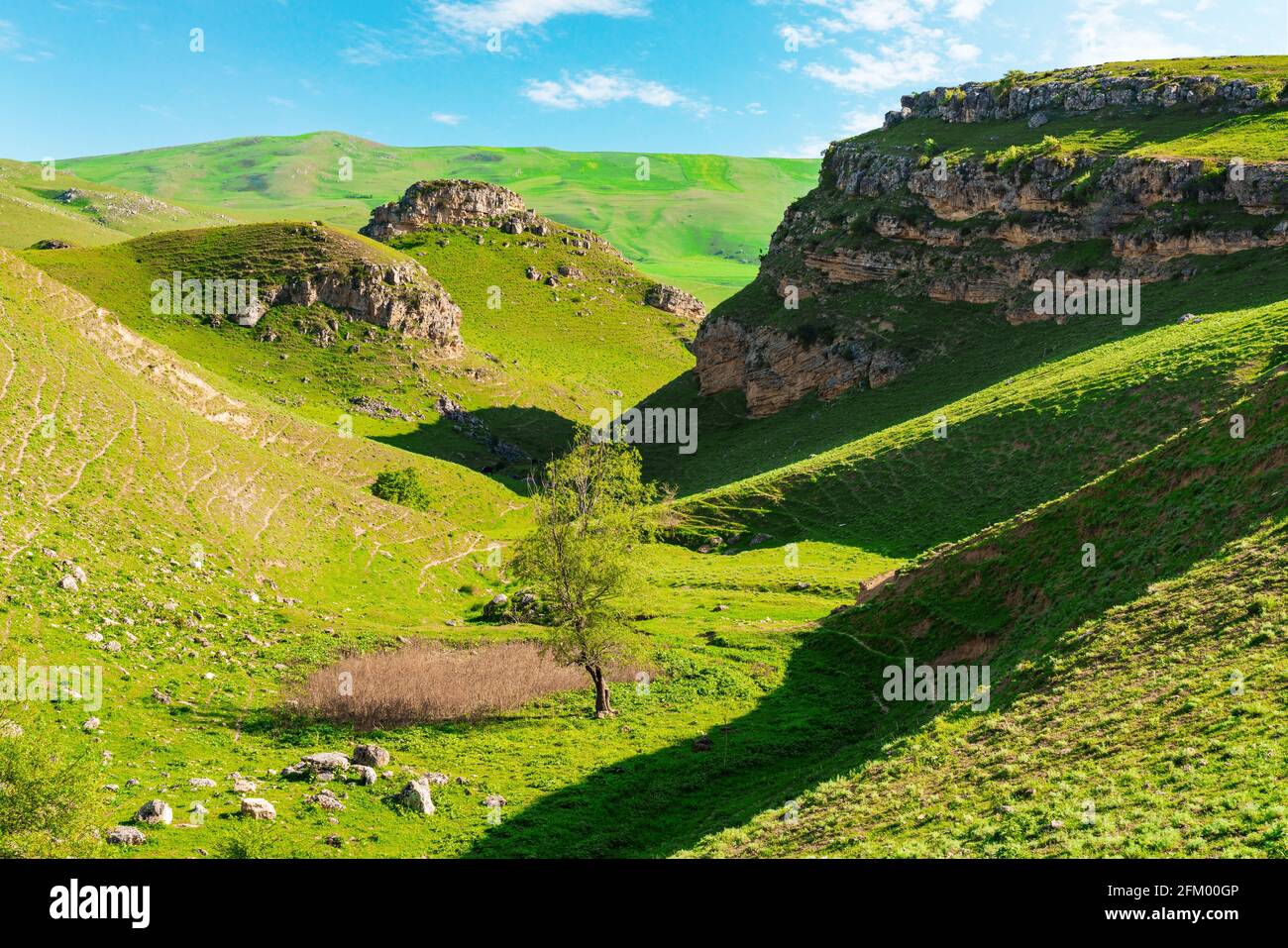 Ravine with boulders hi-res stock photography and images - Alamy