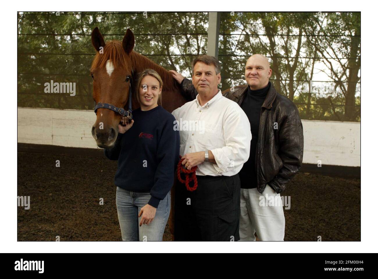 Steve cole Cut Out Stock Images & Pictures - Alamy