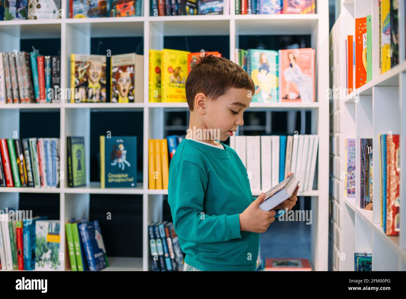 A little boy reaches for shelf of children's books in the bookstore ...