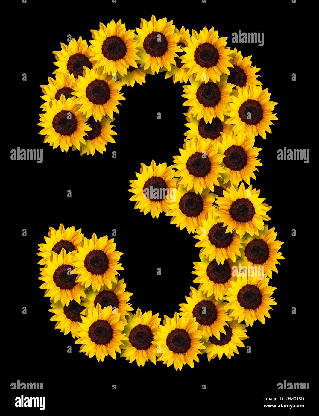 image of number 3 made of yellow sunflowers flowers isolated on black ...