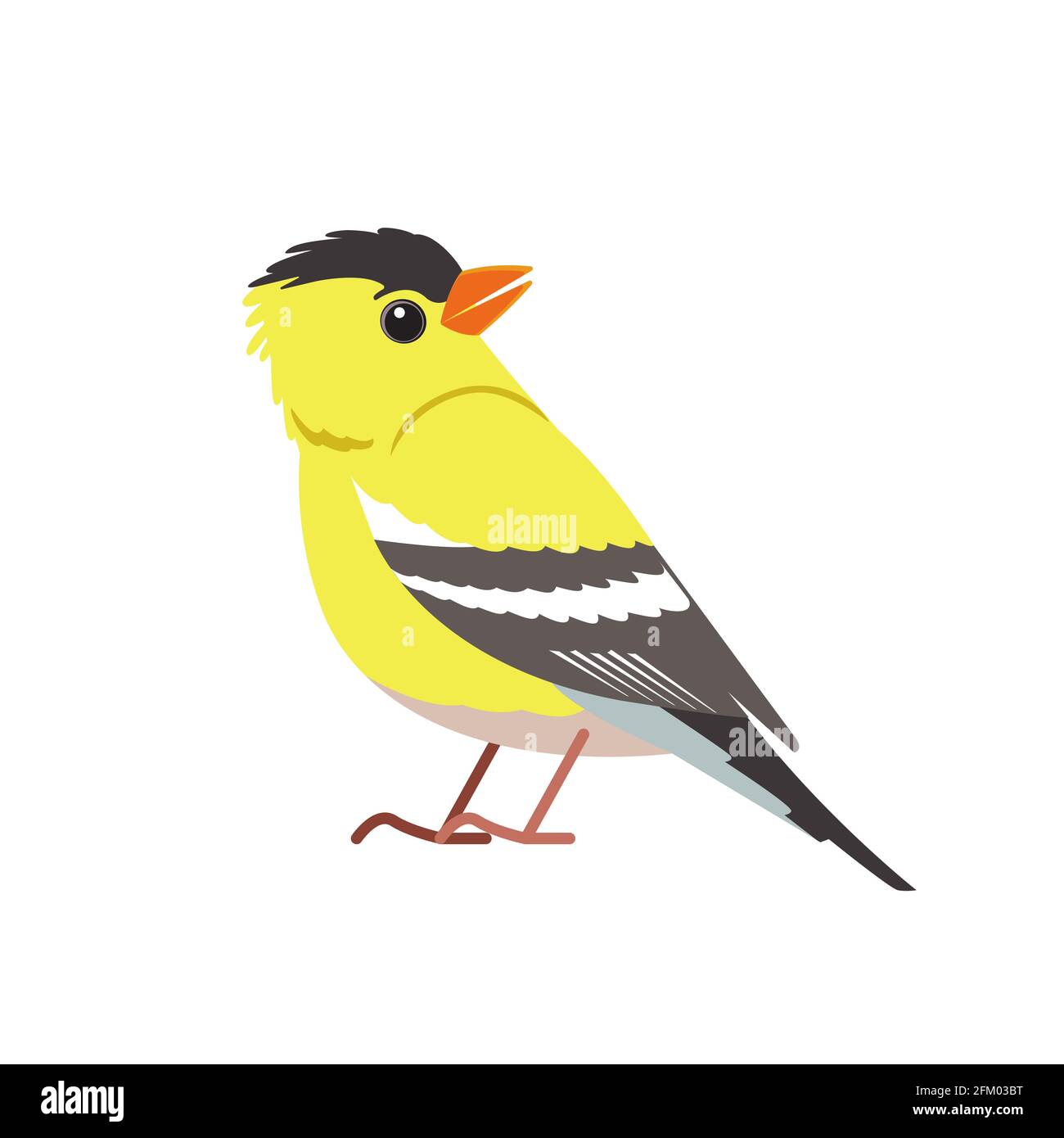 American goldfinch. Yellow bird in the finch family Cartoon flat ...