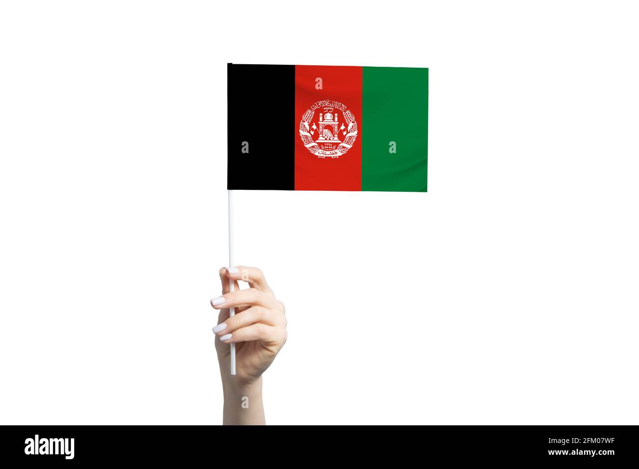 Beautiful female hand holding Afghanistan flag, isolated on white ...