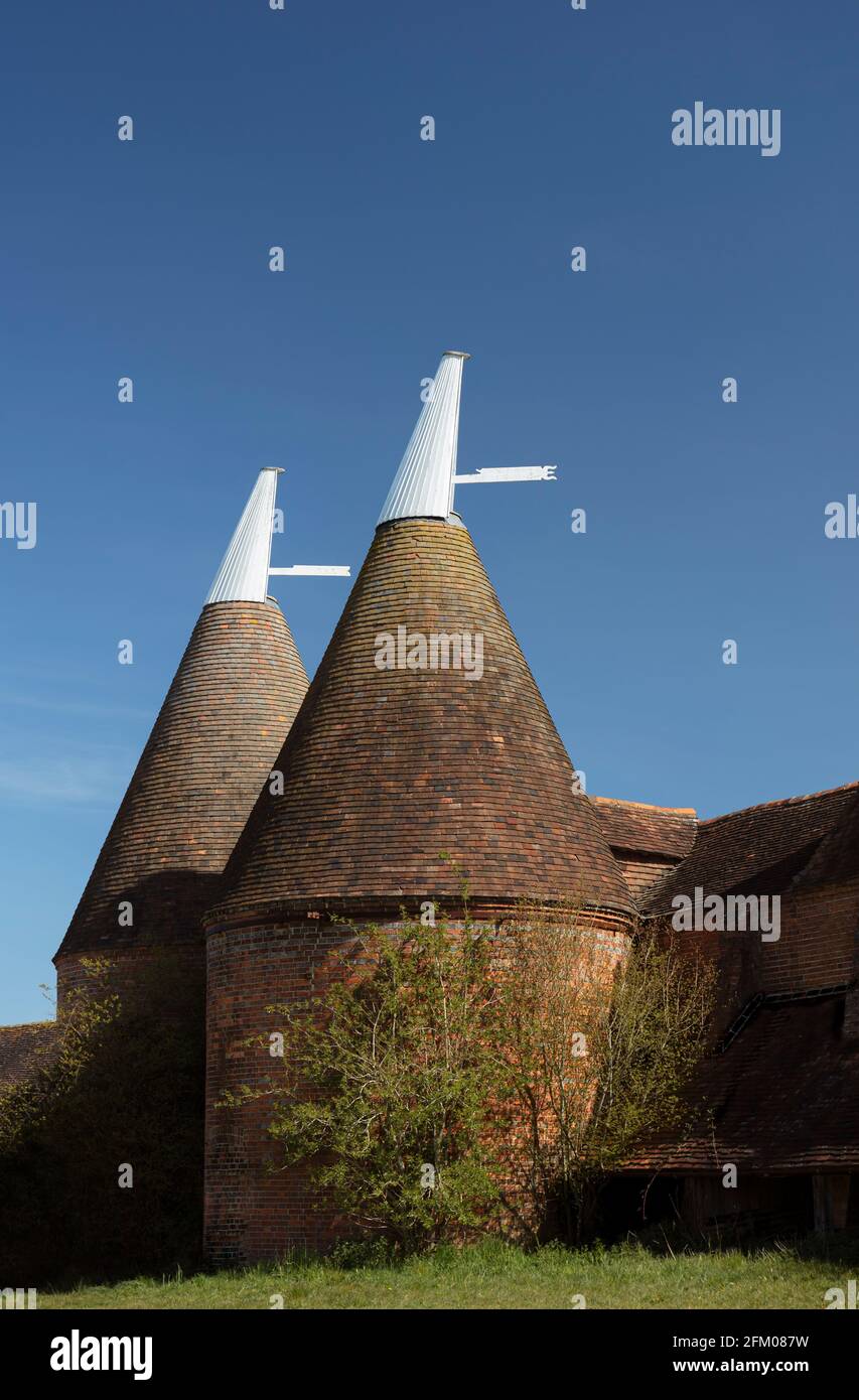 Hop house hi-res stock photography and images - Alamy