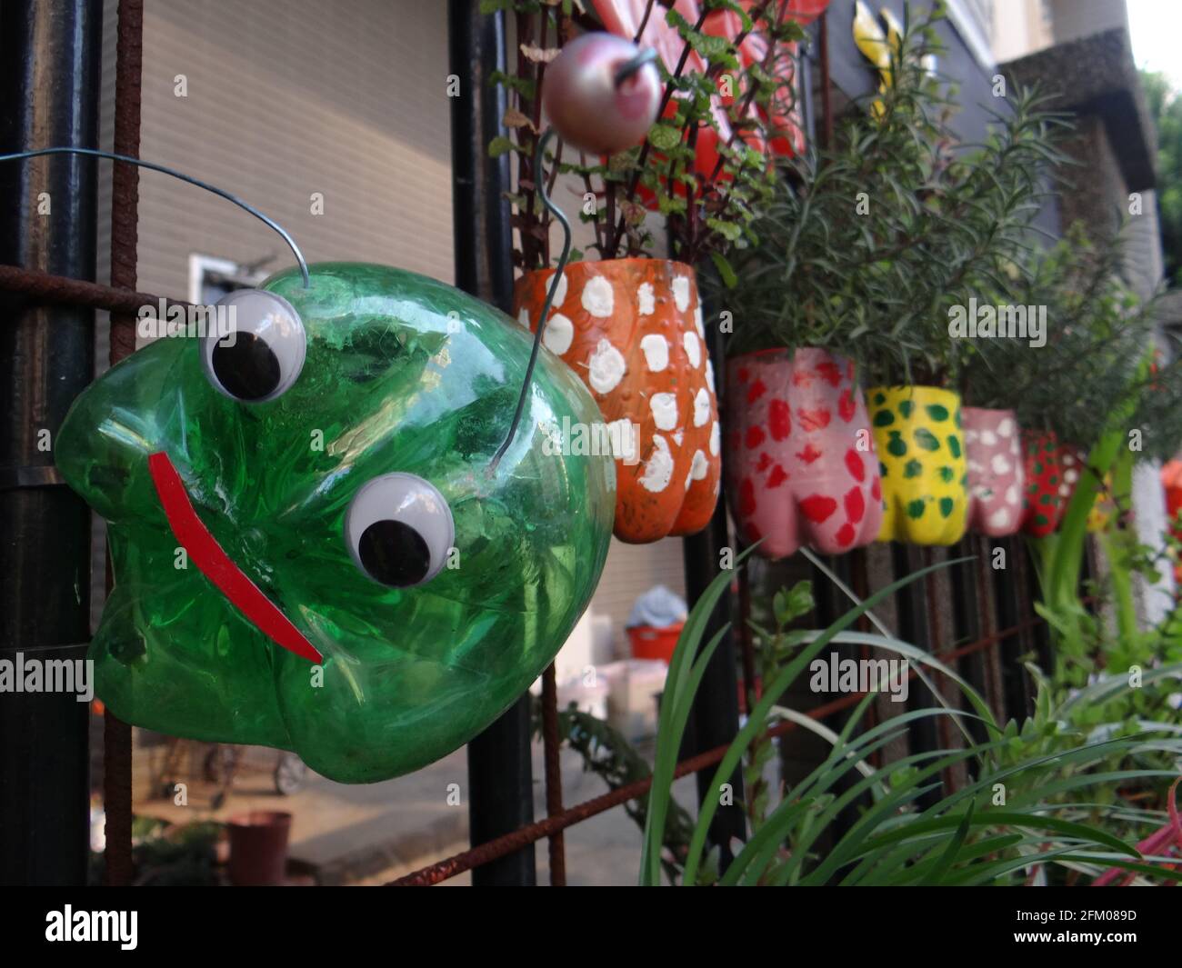 Beautiful view of plants on frog design plastic bottle container in the ...