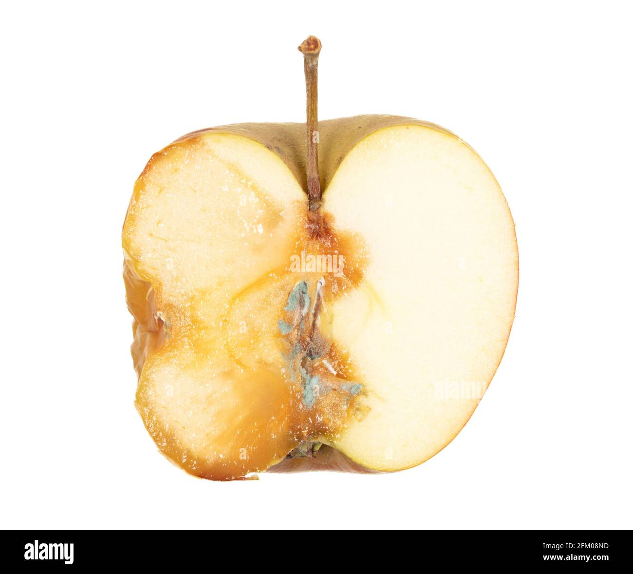 Rotten apple isolated on a white background Stock Photo - Alamy