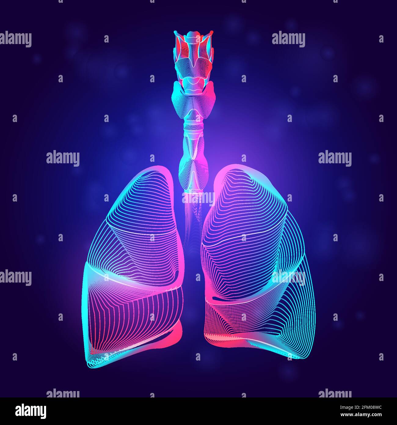 Human lungs medical structure. Outline vector illustration of body part ...