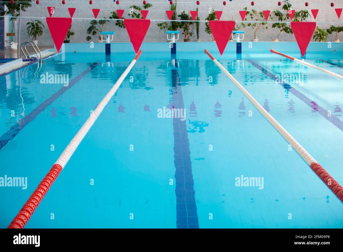 An empty sports pool with a red dividing path. Blue water in the ...