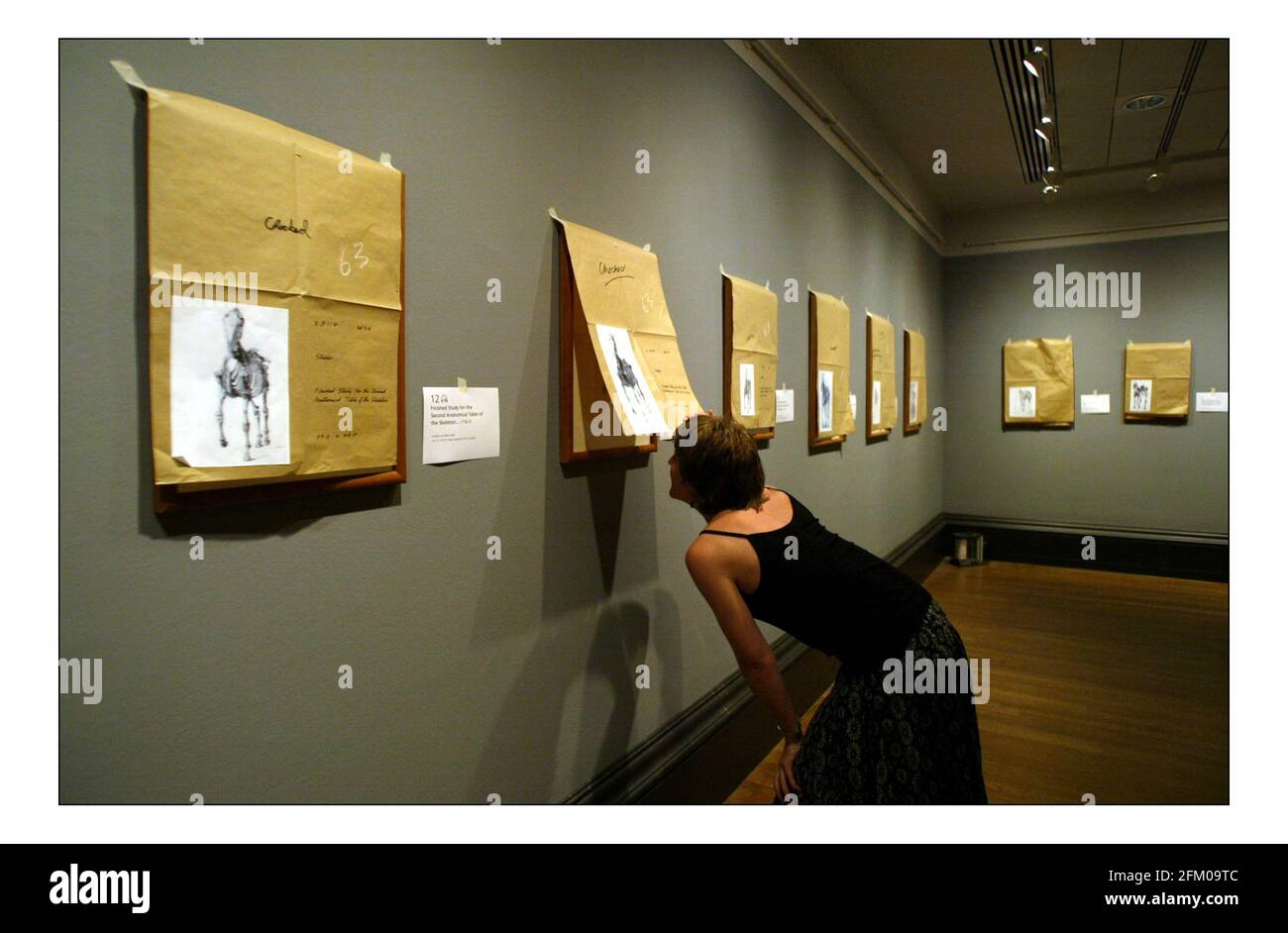 Stubbs and the Horse......Anatomical drawings by George Stubbs in the ...