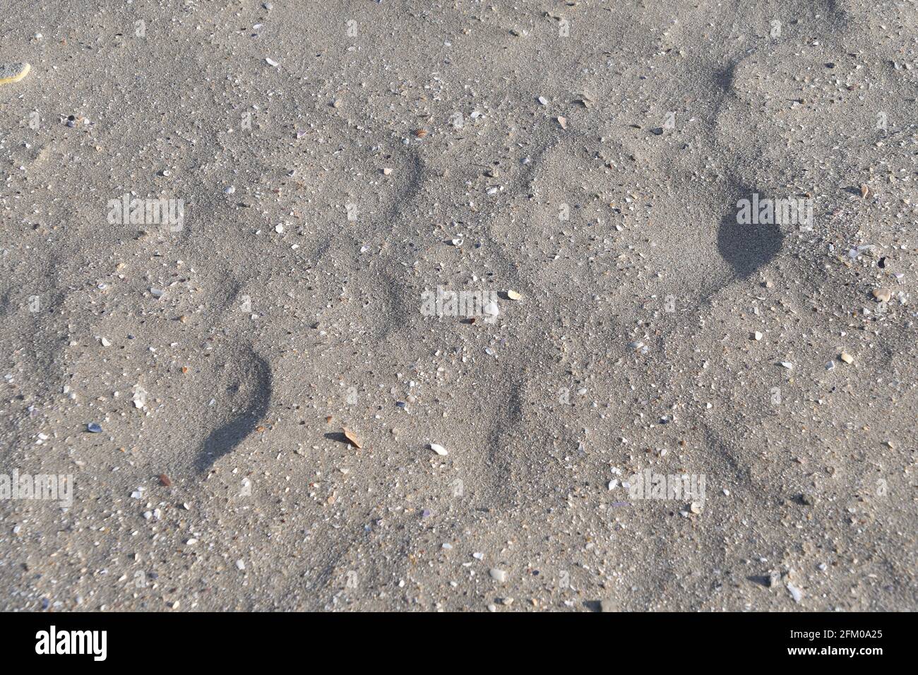Sand and rocks texture Stock Photo - Alamy