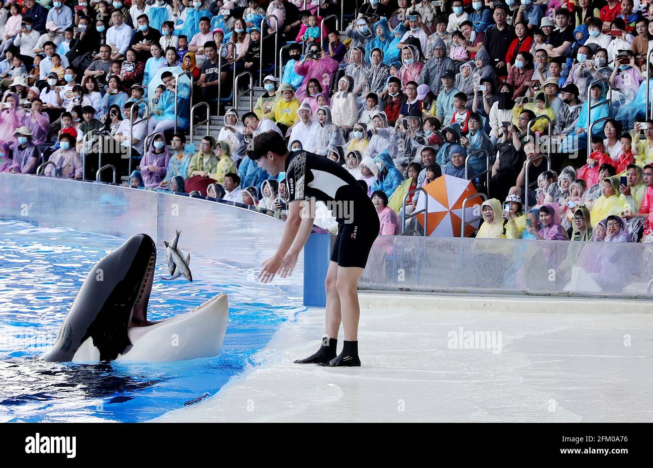 Beijing ocean park hi-res stock photography and images - Alamy