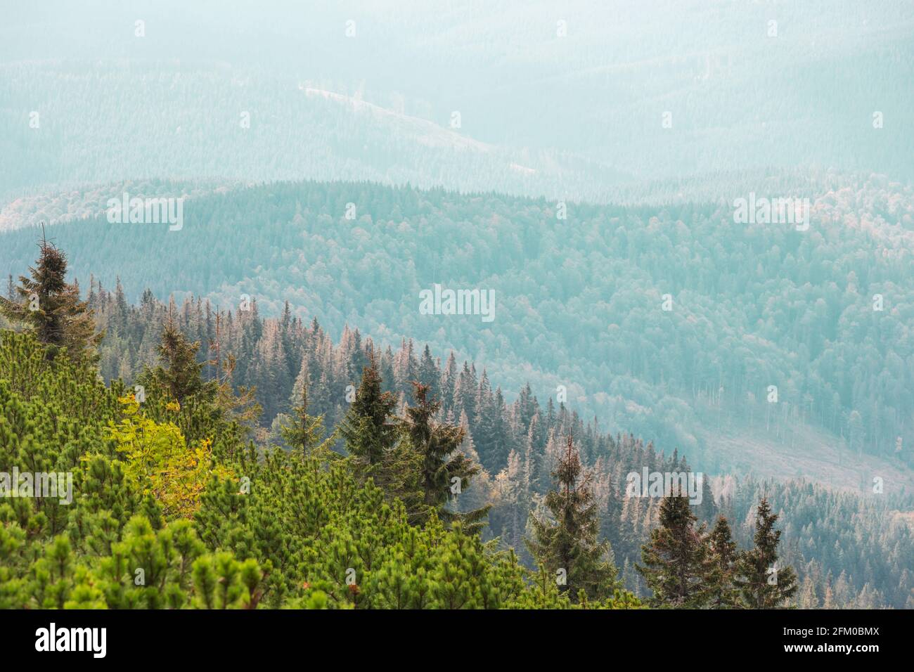 Beautiful natural landscapes in Carpathian mountains Stock Photo - Alamy