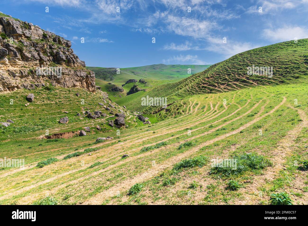 Animal Paths Field High Resolution Stock Photography and Images - Alamy